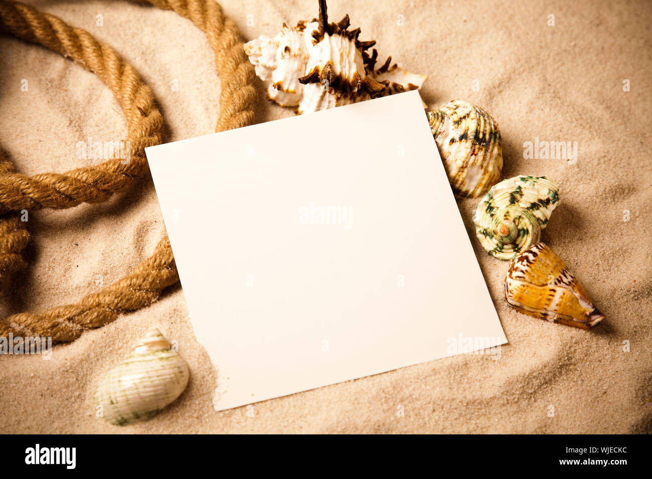 Sand and shell frame Stock Photo - Alamy