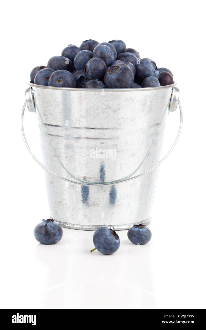 blueberry berries in a metal bucket, isolated on white background Stock ...