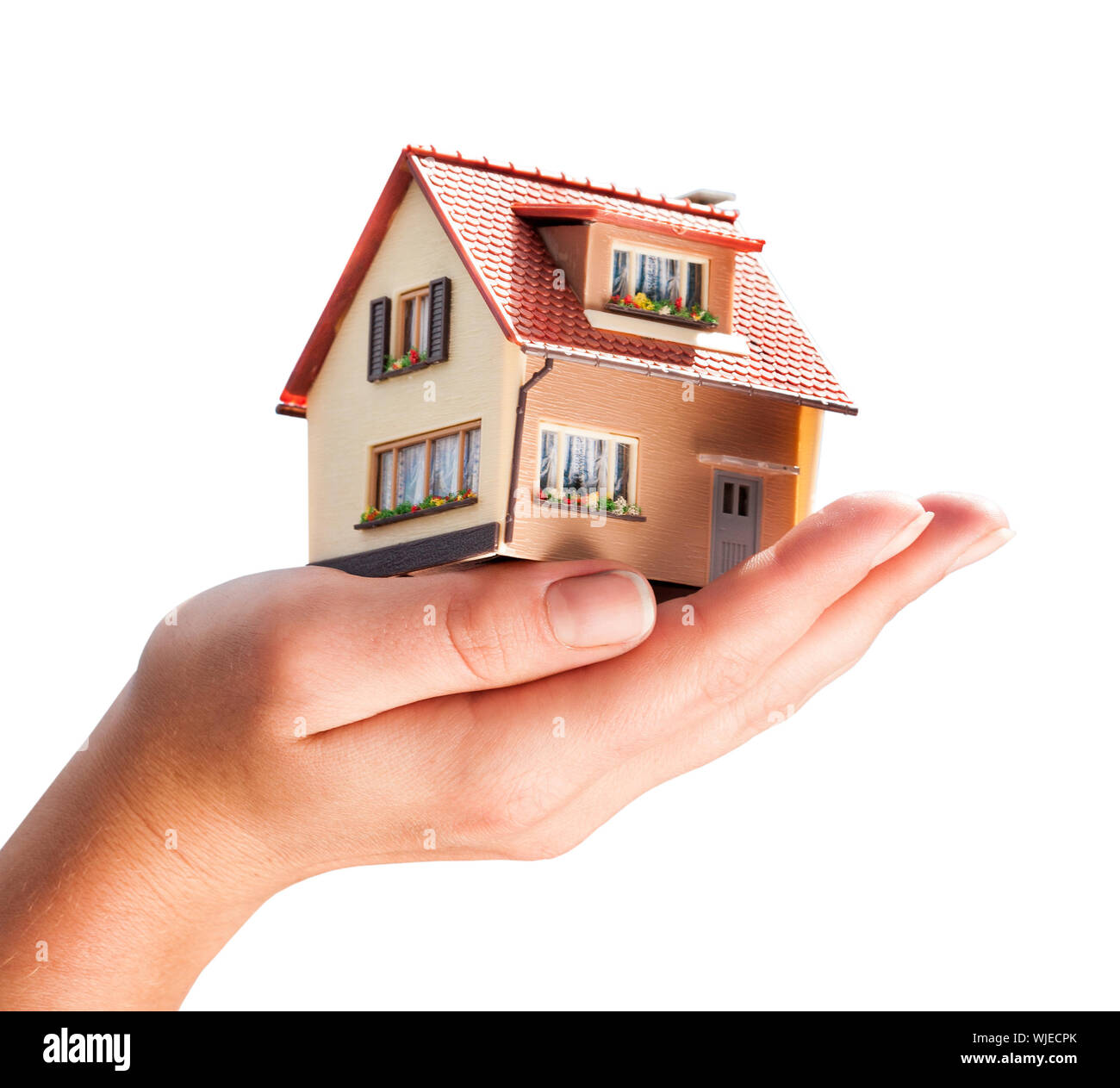 house in human hands isolated on a white background Stock Photo - Alamy