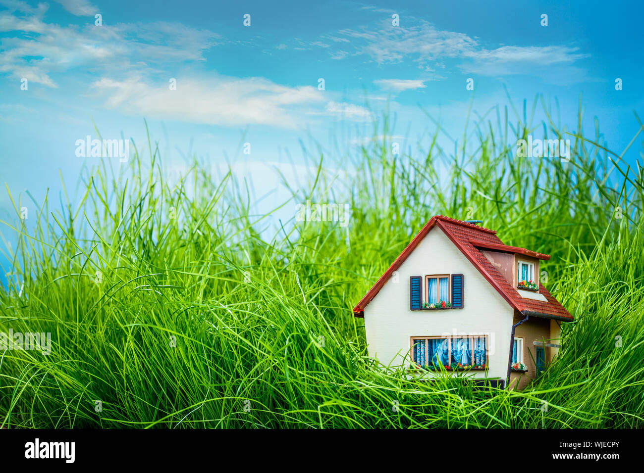 Little House on the green grass Stock Photo - Alamy