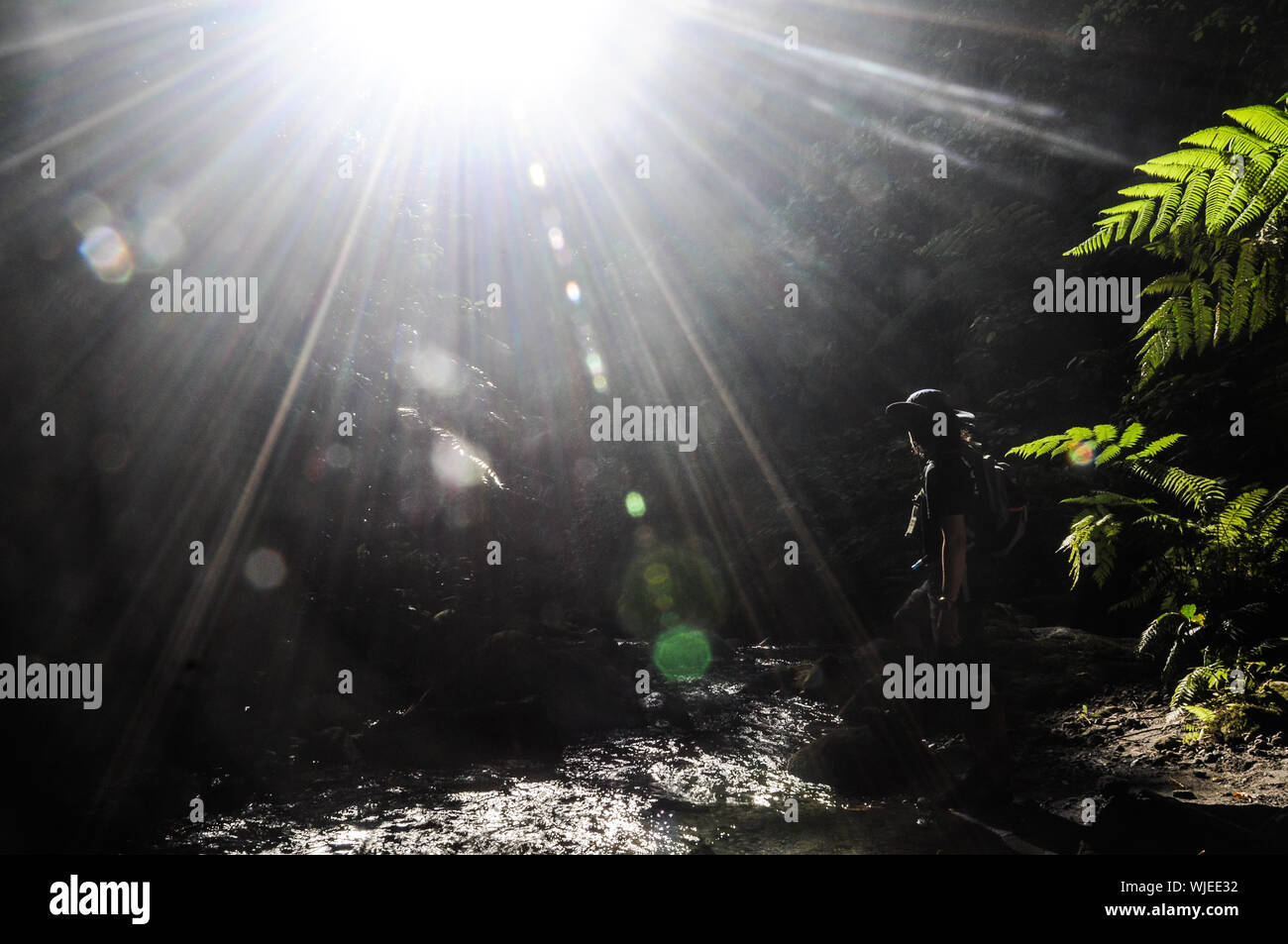 Sunlight falling on mountain hi-res stock photography and images - Alamy