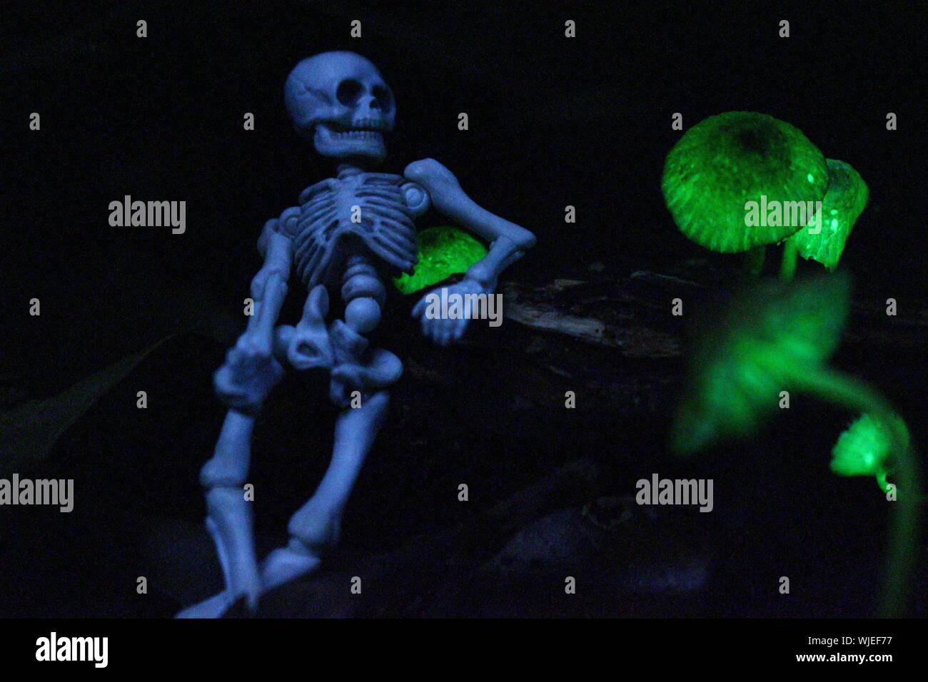 Rock skeleton hi-res stock photography and images - Alamy