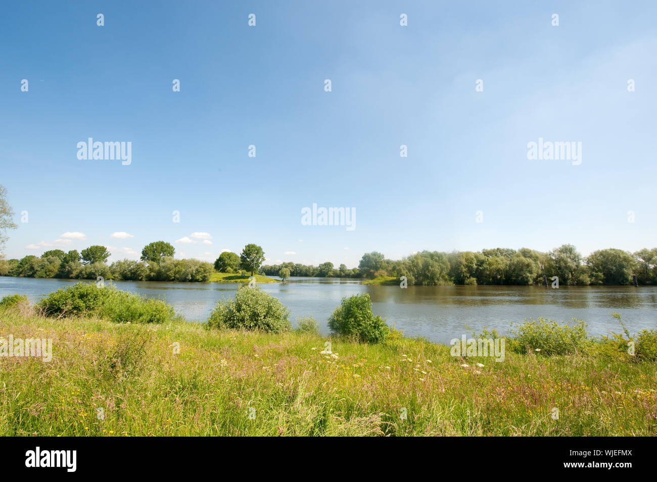 river the Meuse in the Netherlands Stock Photo - Alamy