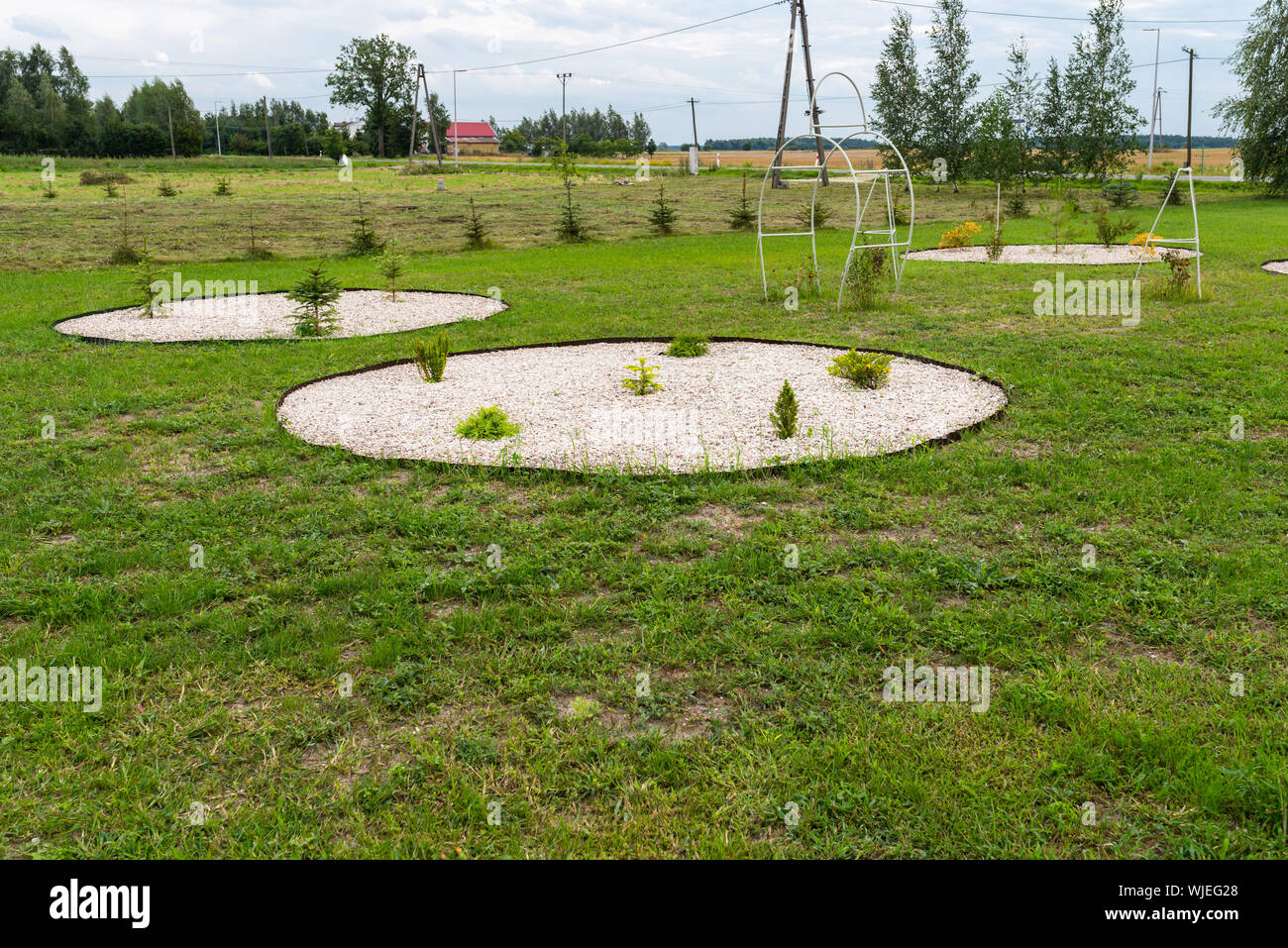 Small trees planted in the home garden in a separate place in the shape ...