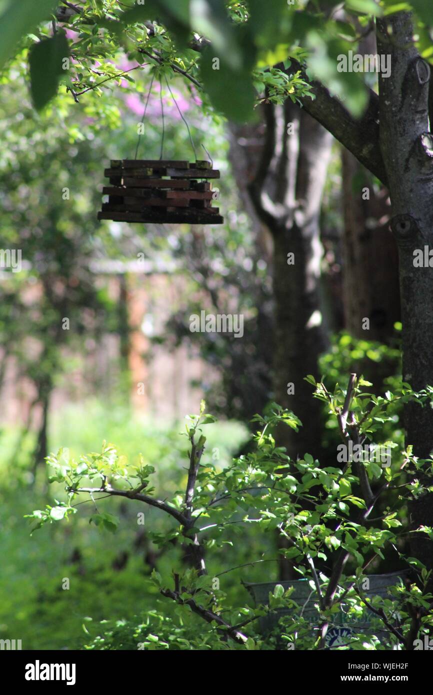 Birdhouse from in tree in hi-res stock photography and images - Alamy