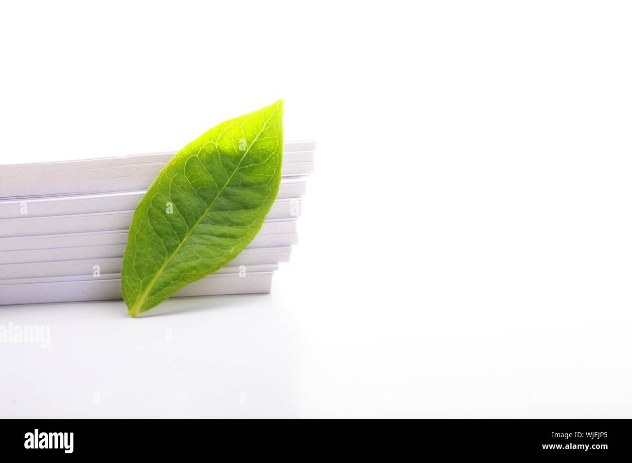 blank or empty sheet of paper with green nature leaf Stock Photo - Alamy
