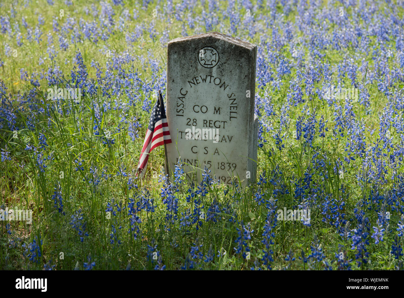 Headstone of a Confederate cavalryman amid a field of bluebonnets in ...