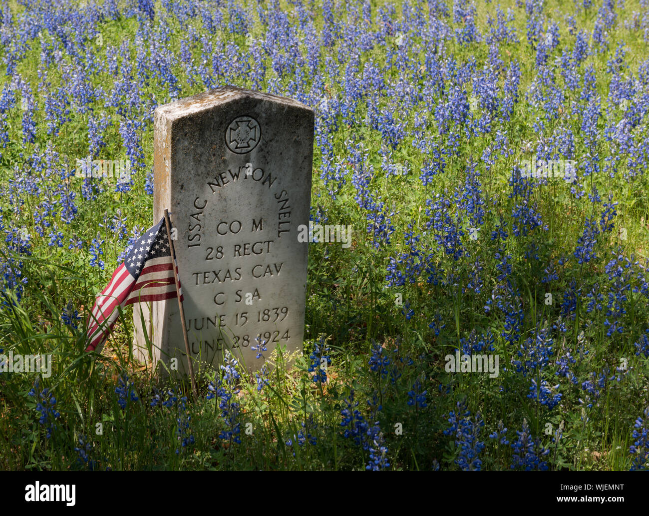 Headstone of a Confederate cavalryman amid a field of wildflowers in ...