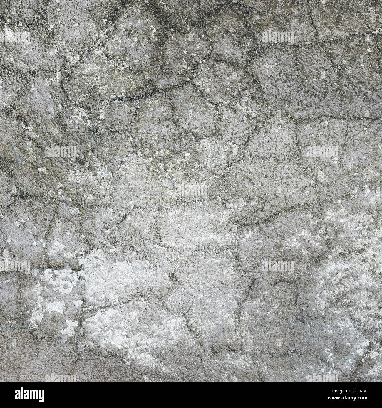 Square structure of gray rough plaster with cracks Stock Photo - Alamy