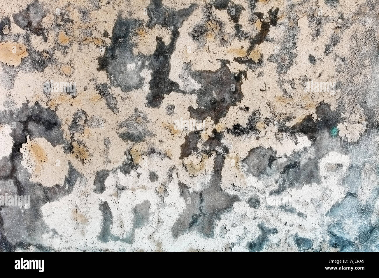 Mold stains on a surface of weather-beaten humid plaster Stock Photo ...