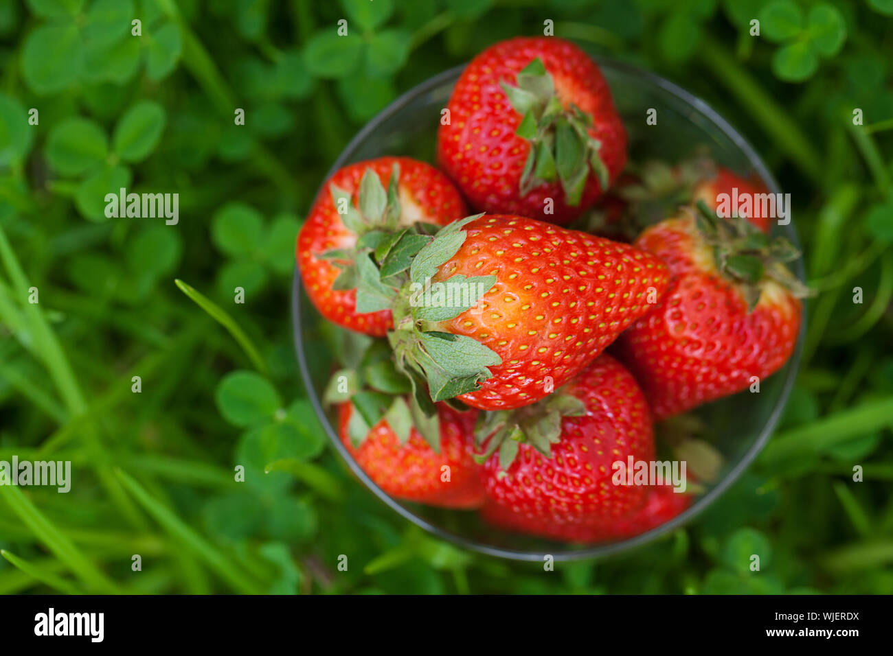 Full frame small strawberries hi-res stock photography and images - Alamy