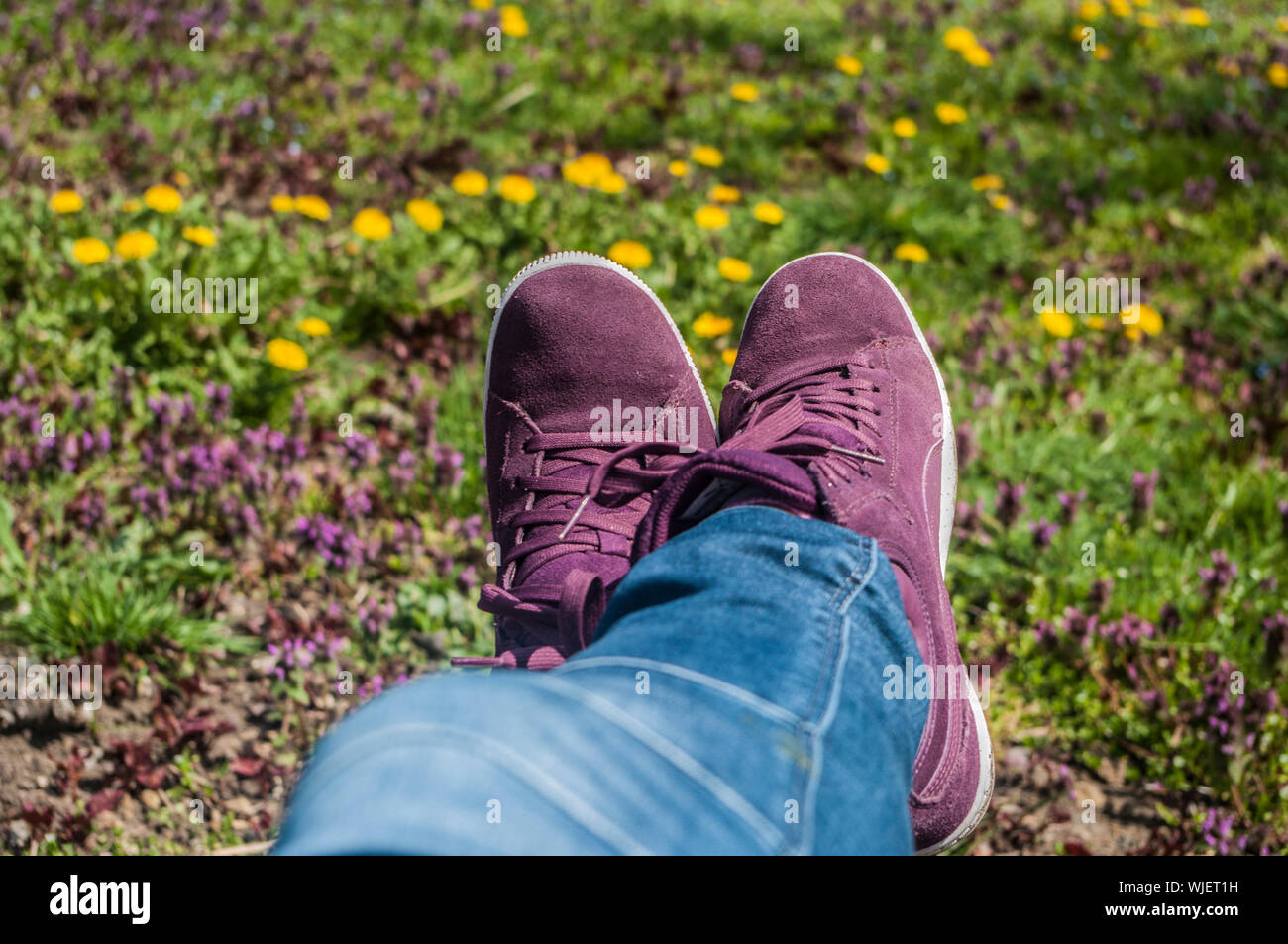 Selective perspective hi-res stock photography and images - Alamy