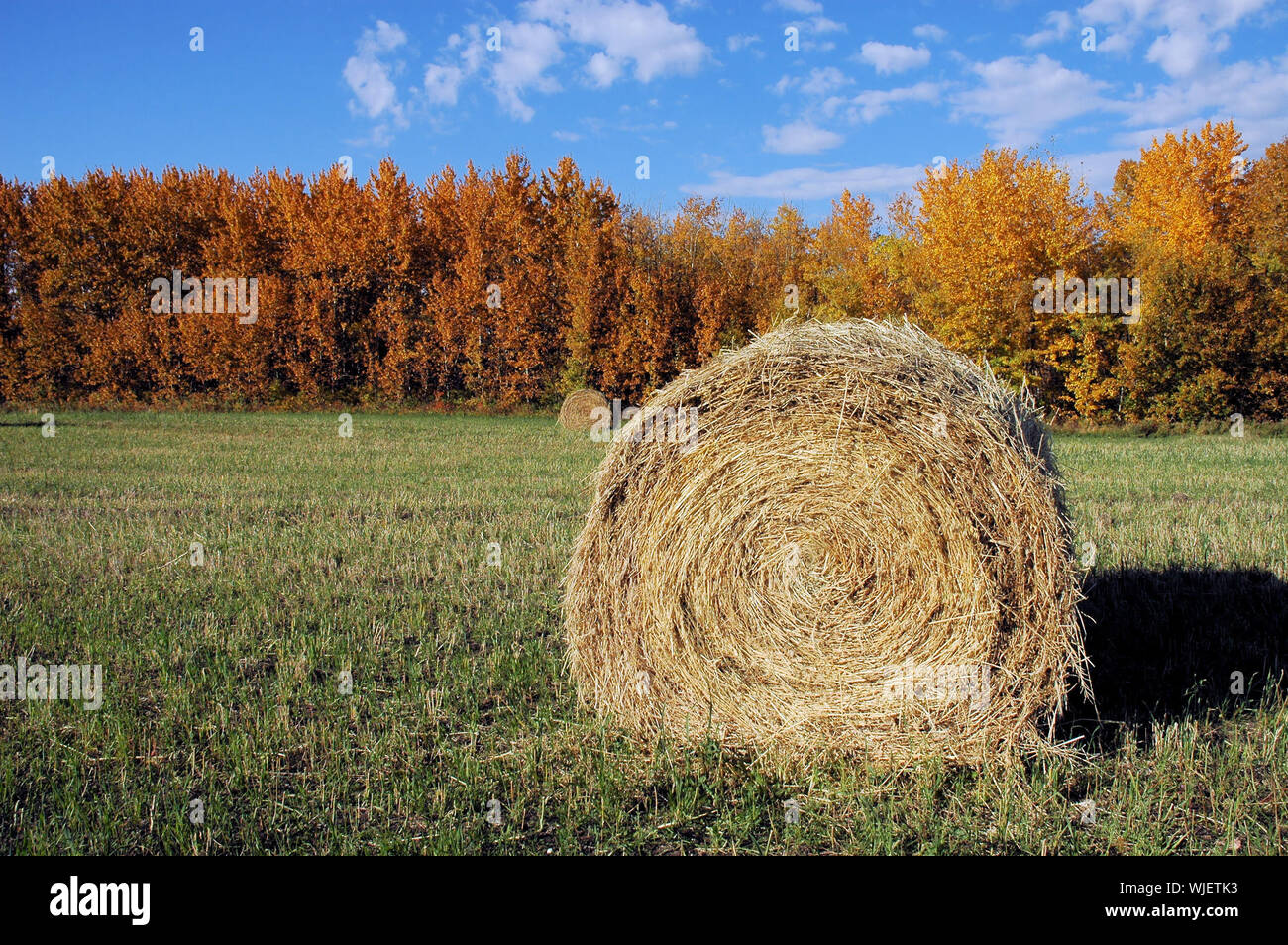 Hay and bailer hi-res stock photography and images - Alamy