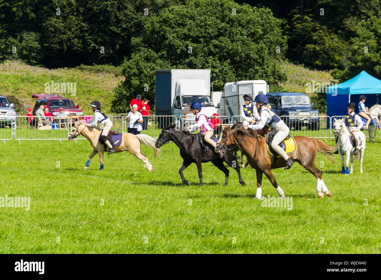 Pony club uk hi-res stock photography and images - Alamy