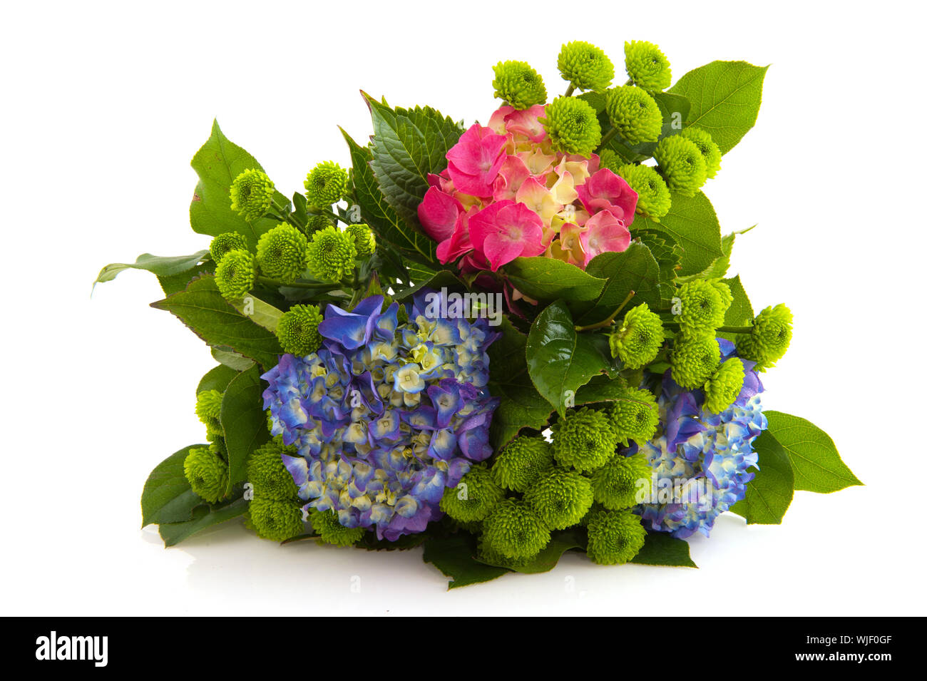 Flower bouquet with hydrangea and Chrysanthemum Stock Photo - Alamy