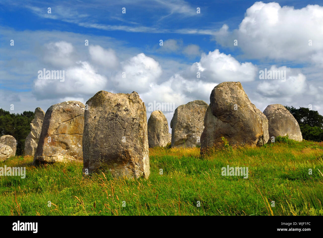 Prehistoric megalithic monuments menhirs in Carnac area in Brittany ...