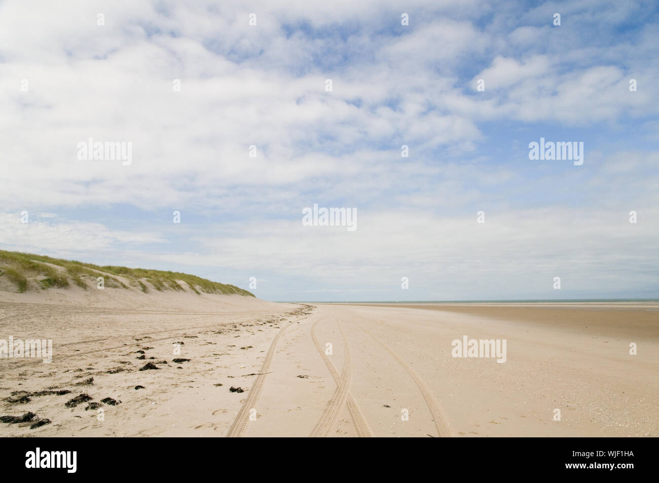 Spurrs hi-res stock photography and images - Alamy