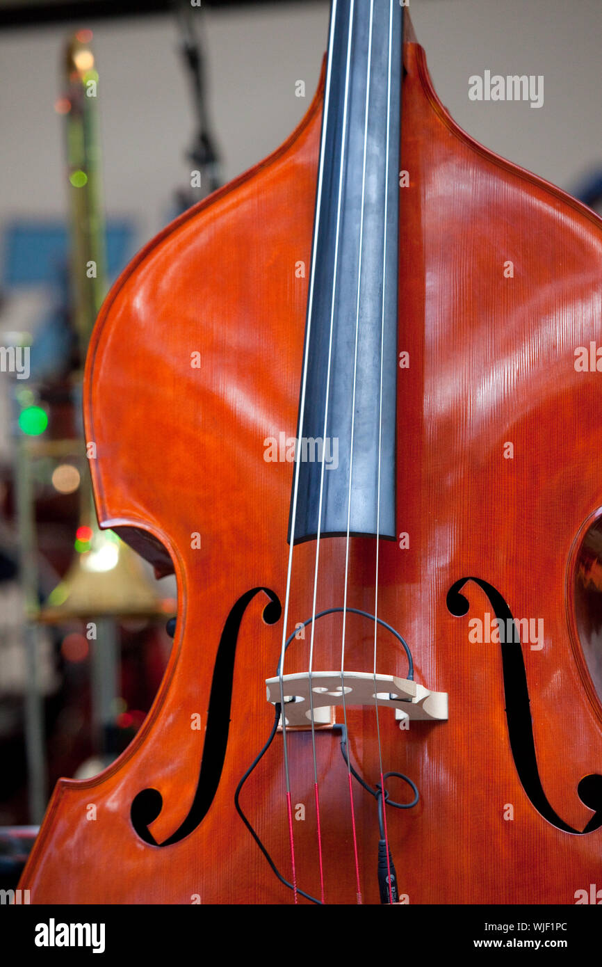 playing the strings on the bass Stock Photo - Alamy