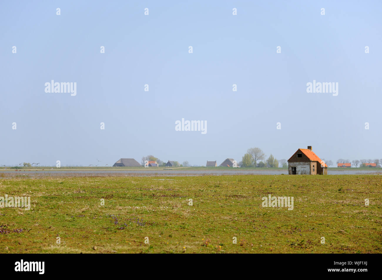 Water landscape in Holland with uninhabitable house Stock Photo - Alamy