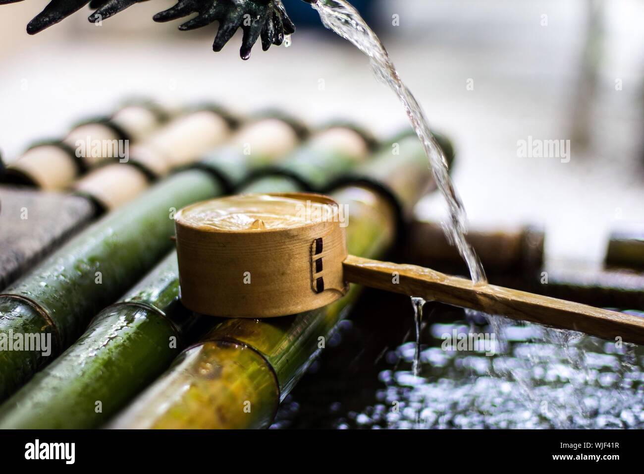 Japanese dipper hi-res stock photography and images - Alamy
