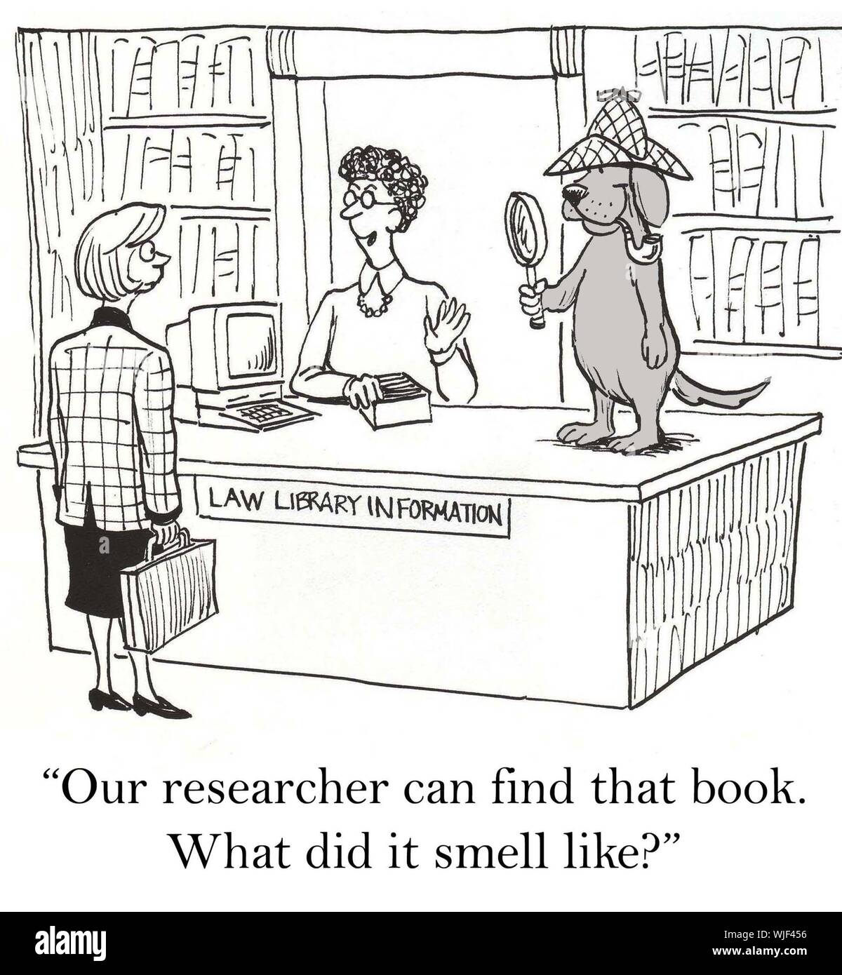 Researcher