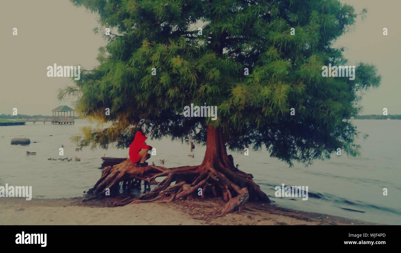 Sitting on one root hi-res stock photography and images - Alamy