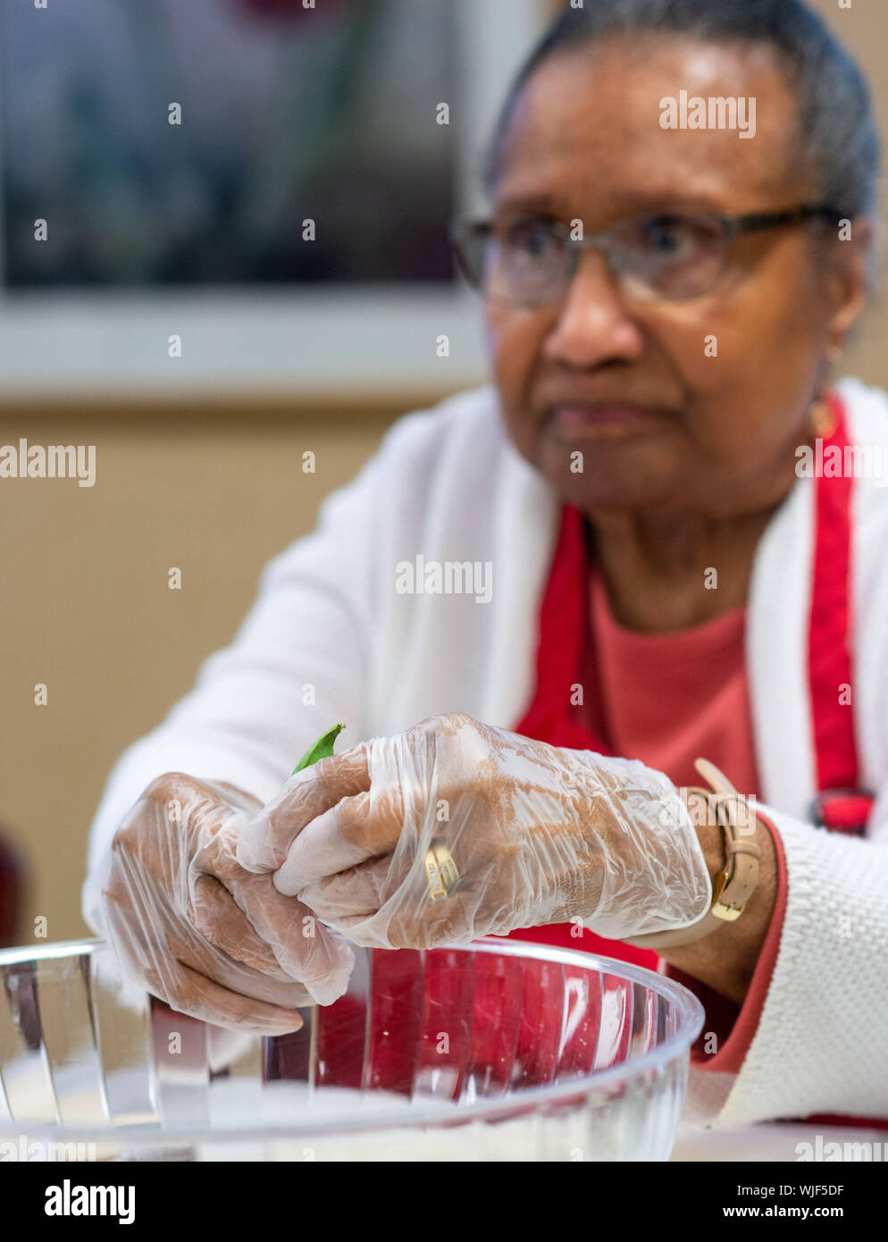 Rubey Custus pulls pees from a pod as the group of senior citizens ...