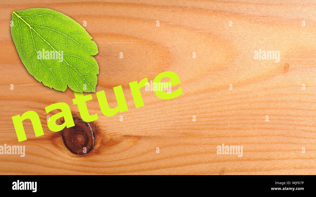 nature concept with word on nature still life Stock Photo - Alamy