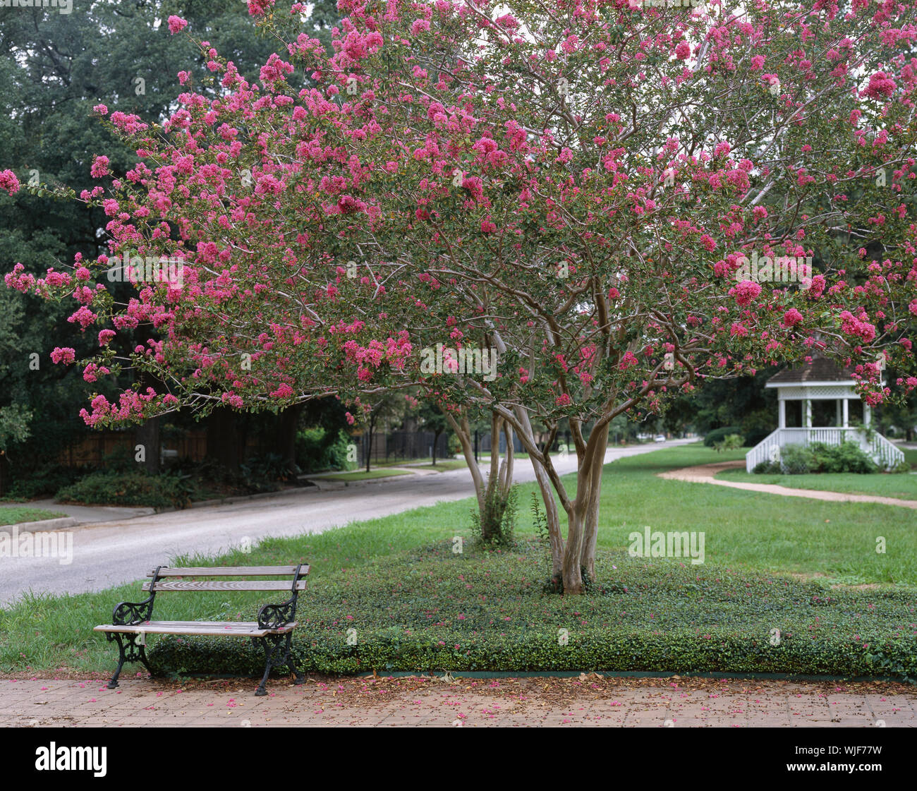 Houston heights hi-res stock photography and images - Alamy