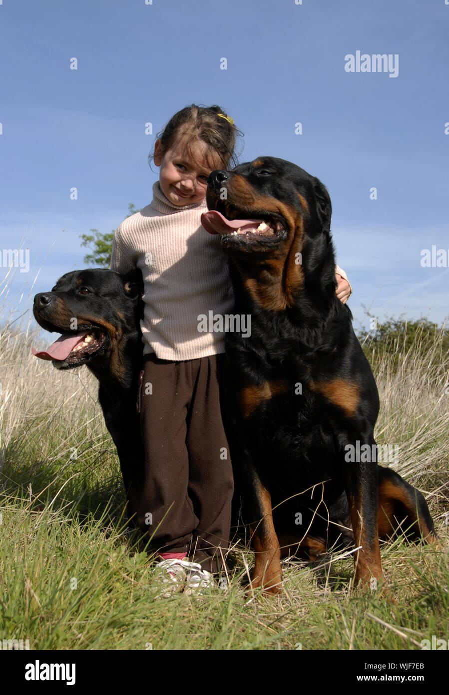 Girl dog rottweiler hi-res stock photography and images - Alamy