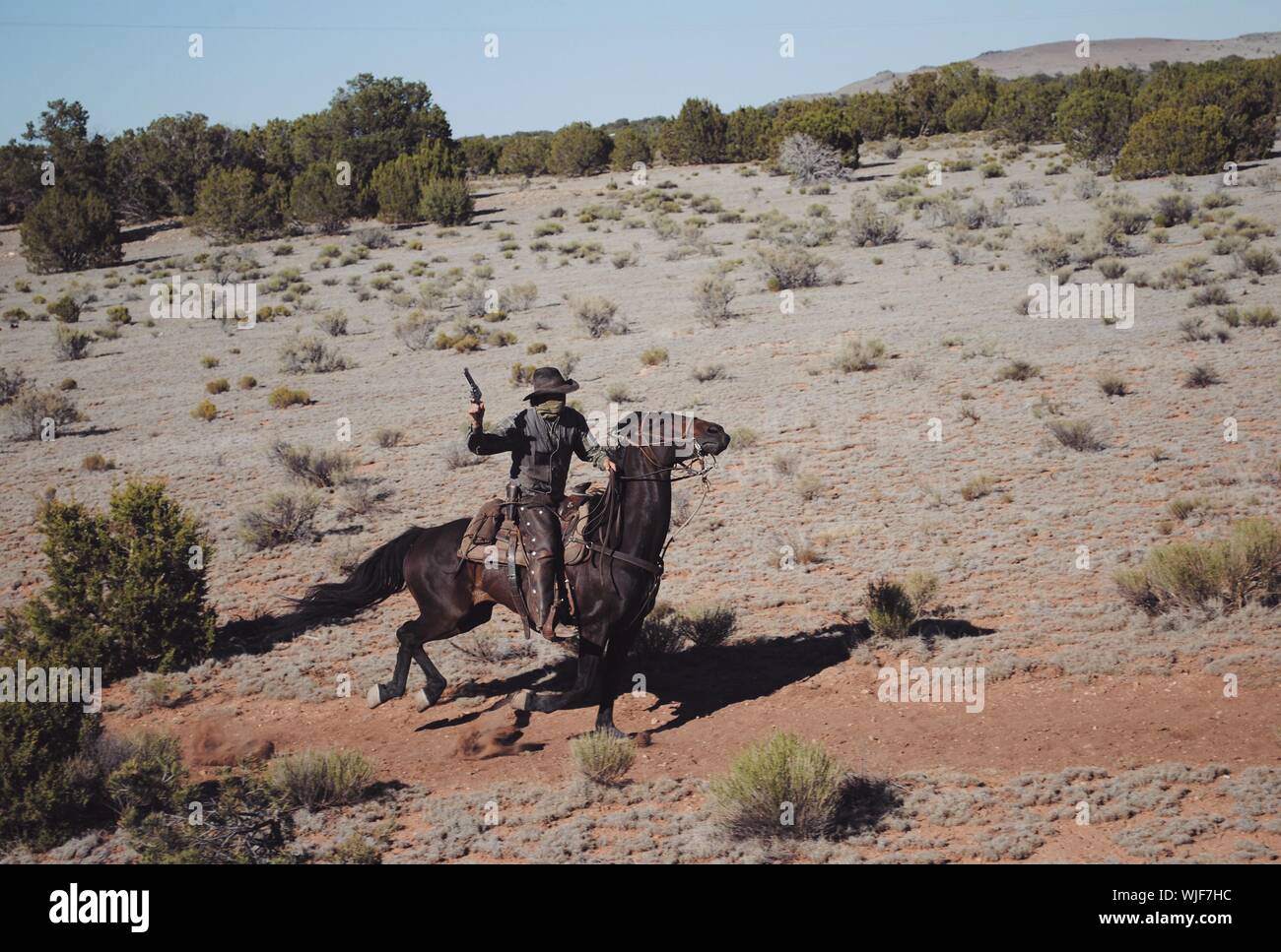 One bandit hi-res stock photography and images - Alamy