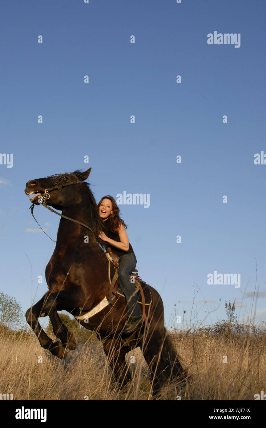 rearing black stallion and happy young woman in a field Stock Photo - Alamy
