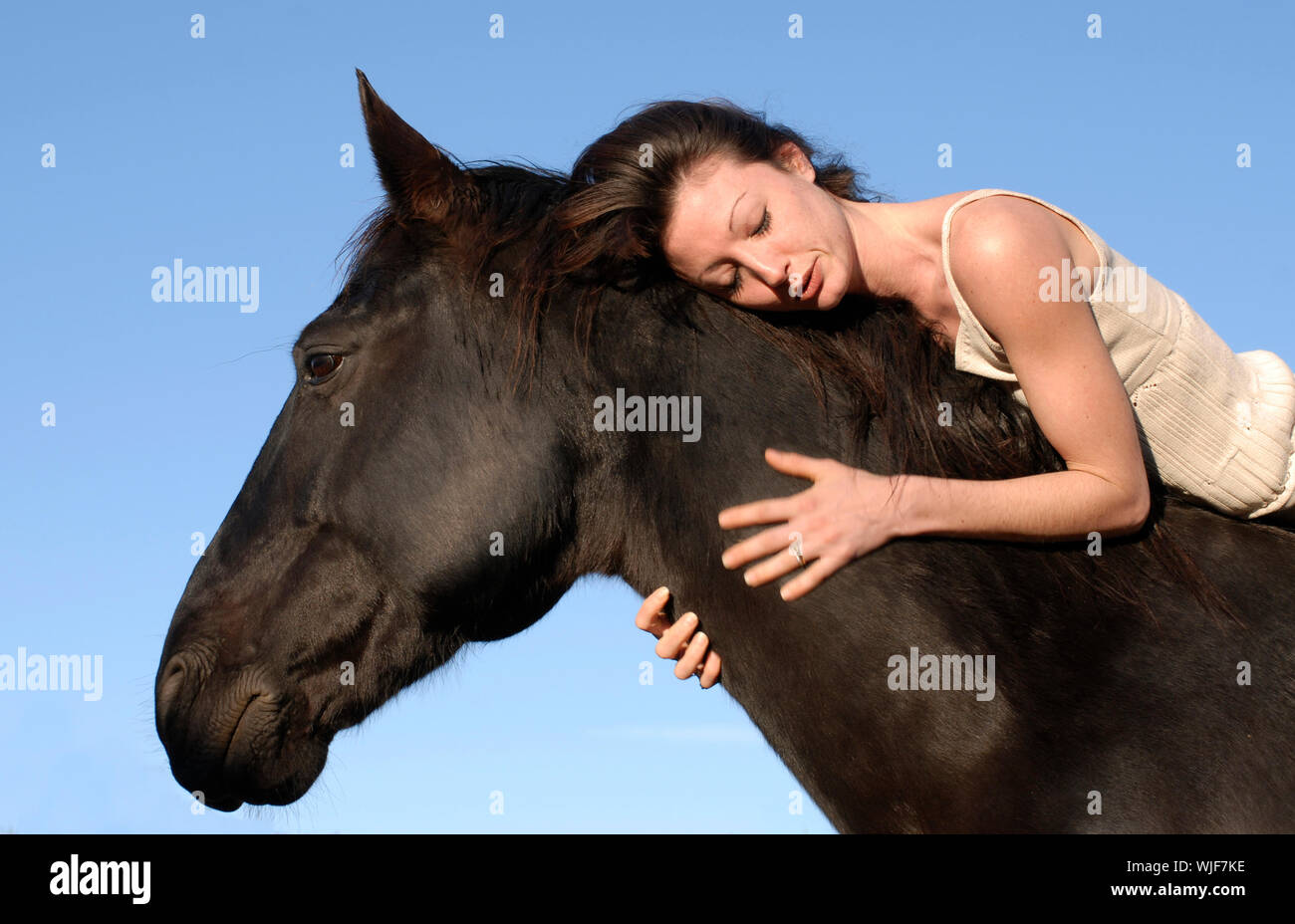 young woman and her best friend black stallion Stock Photo - Alamy