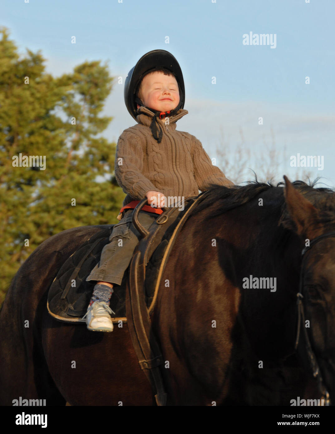 Baby boy riding pony hi-res stock photography and images - Alamy