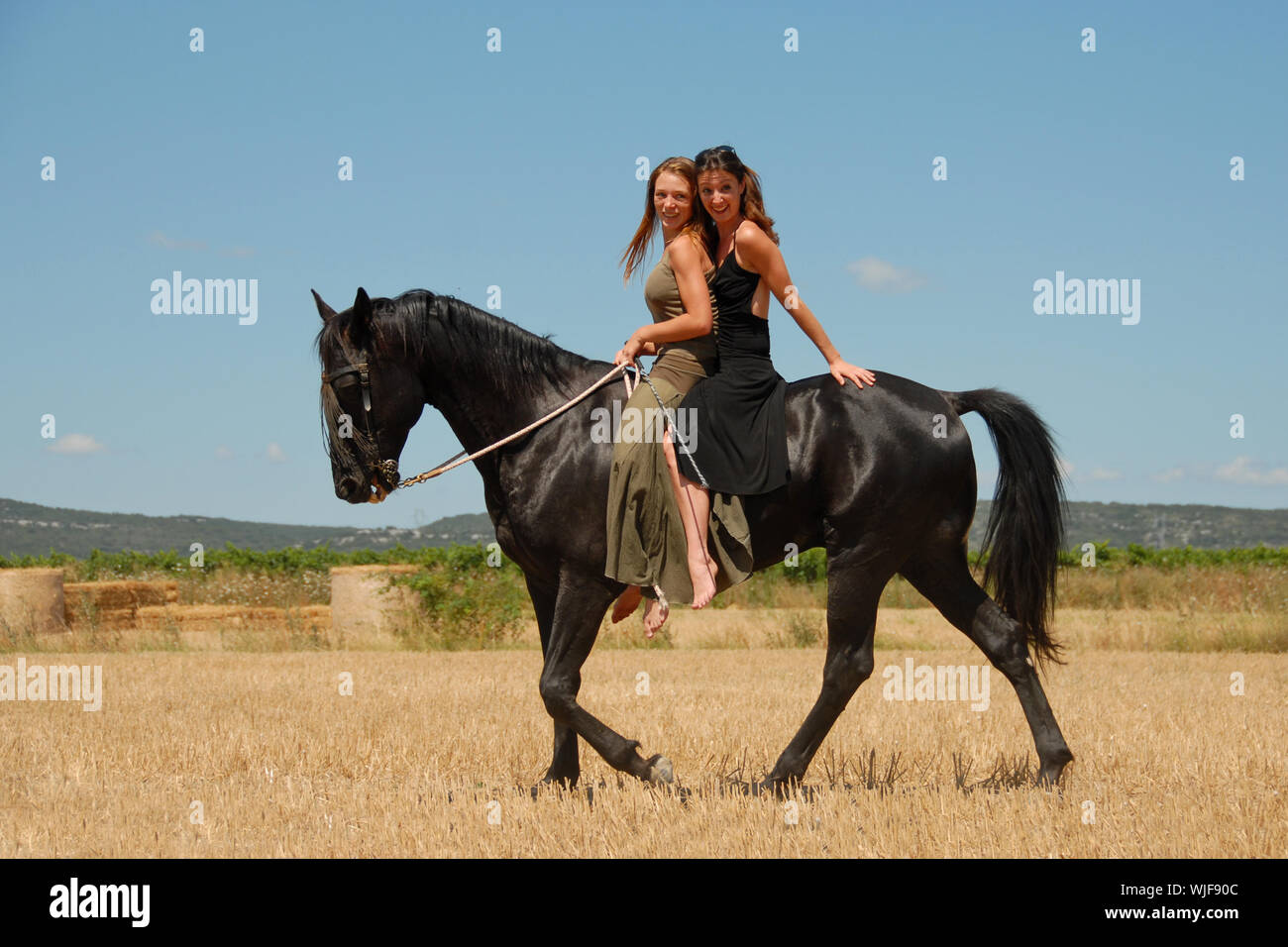 two friends are horseback riding their black stallion Stock Photo - Alamy