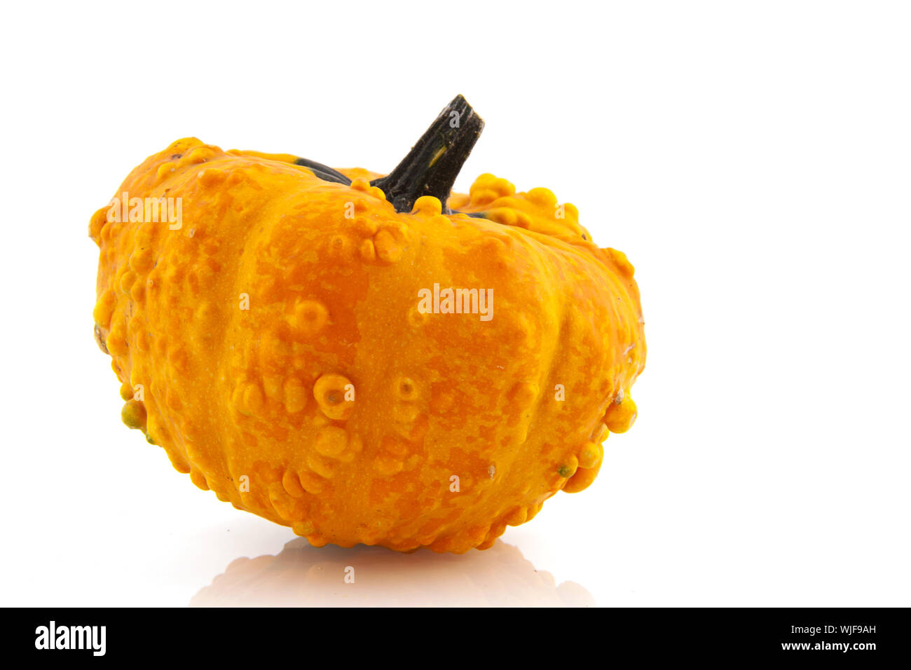 One single squash in yellow isolated over white Stock Photo - Alamy