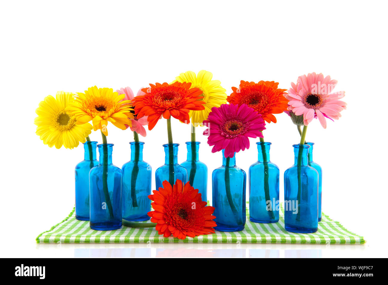 Row blue glass vases with colorful flowers isolated over white Stock ...