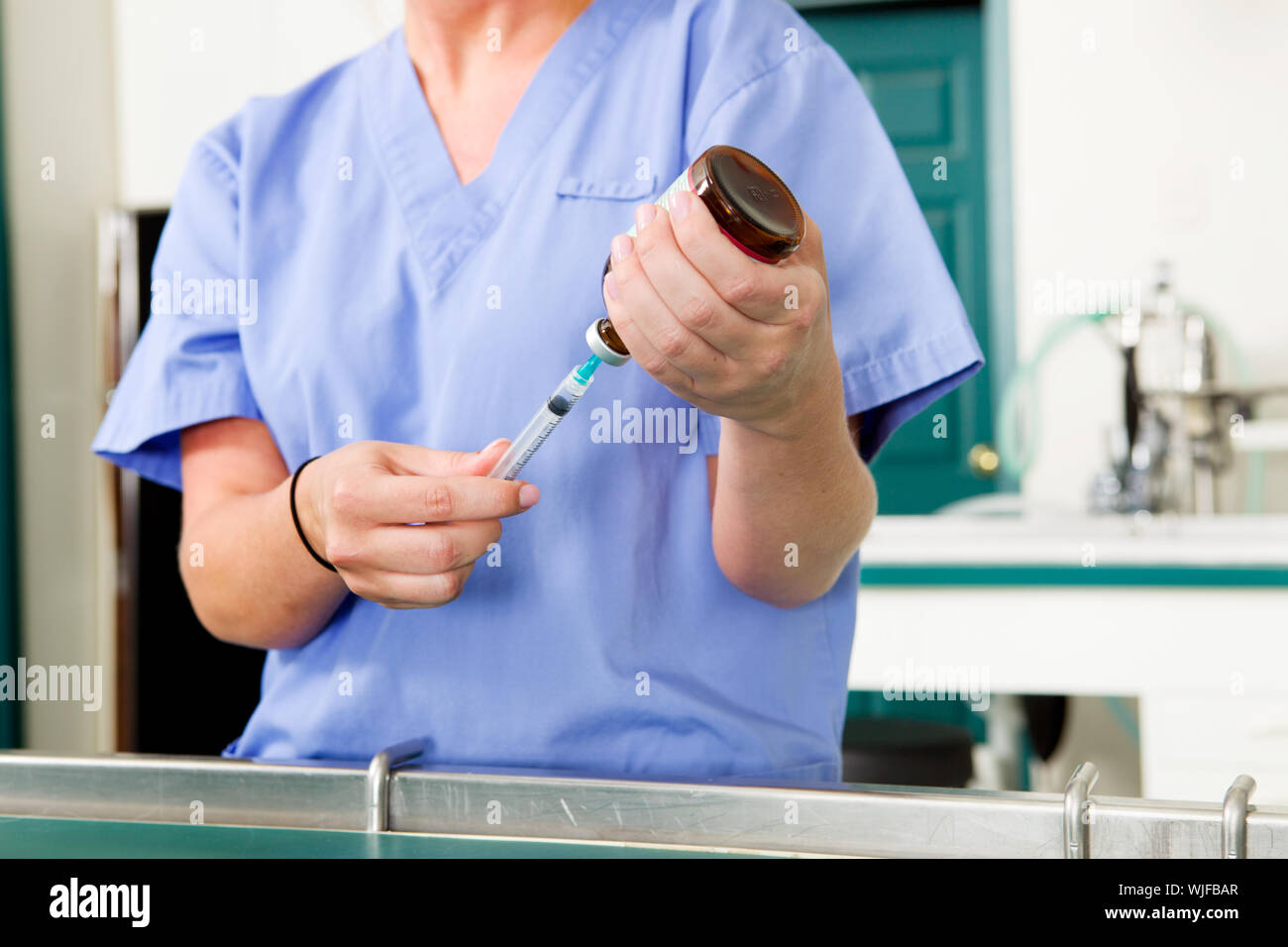 Dose animal hi-res stock photography and images - Alamy