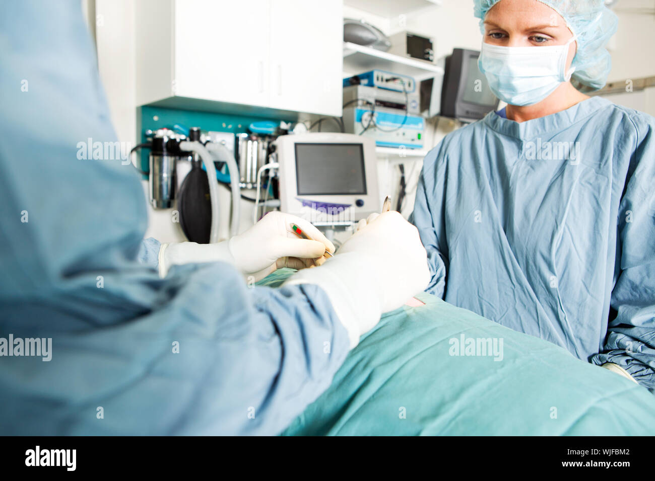 Surgery at Vet Clinic Stock Photo - Alamy