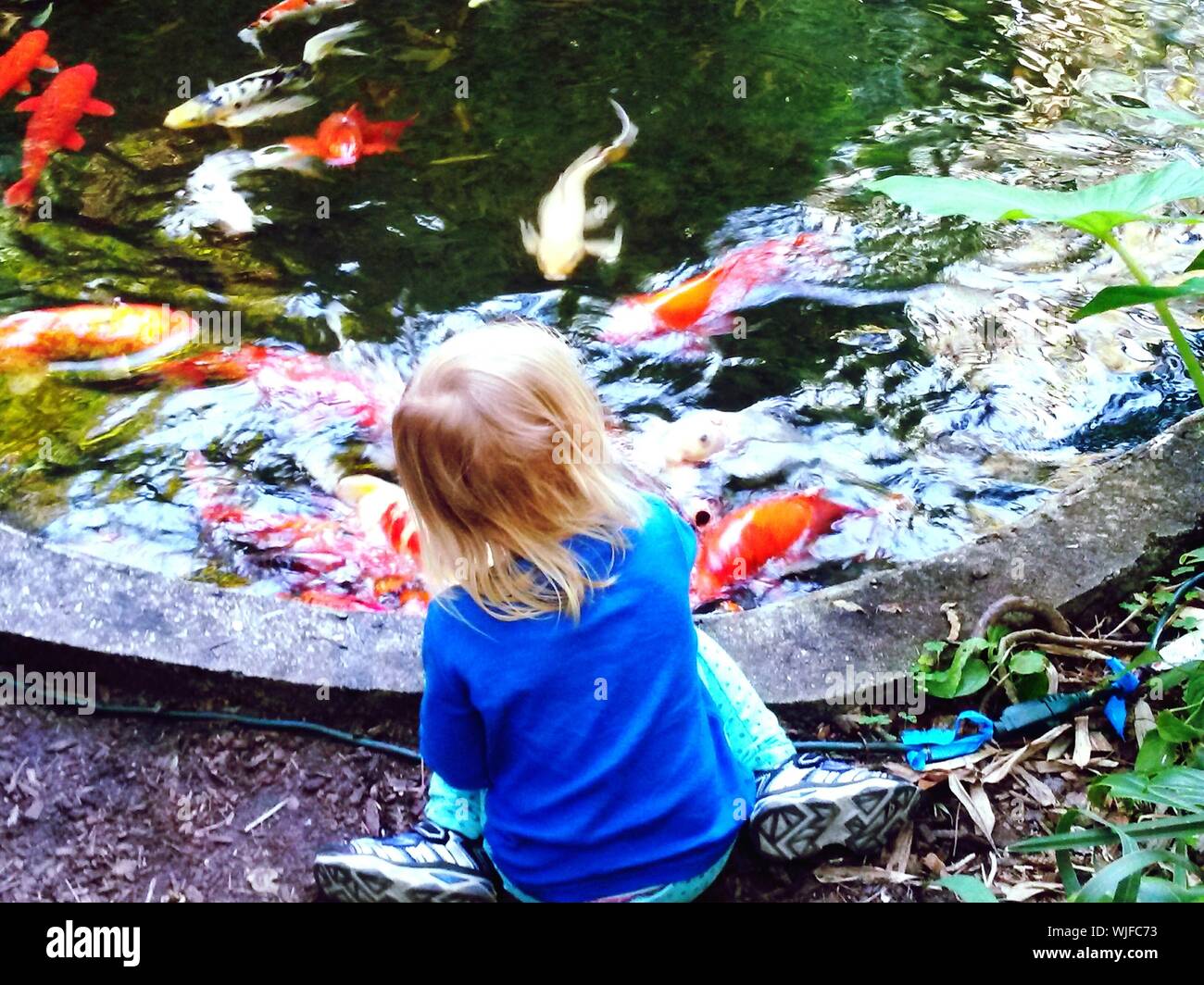 Fishing pond hi-res stock photography and images - Alamy
