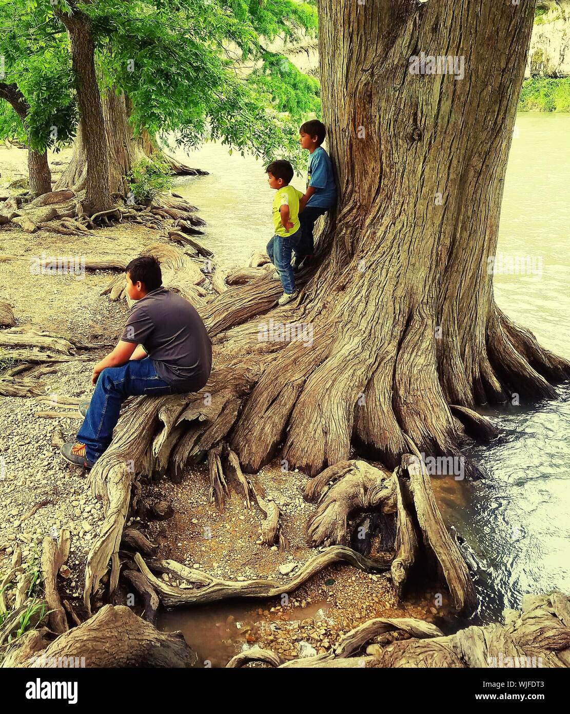 Children playing in forest hi-res stock photography and images - Alamy