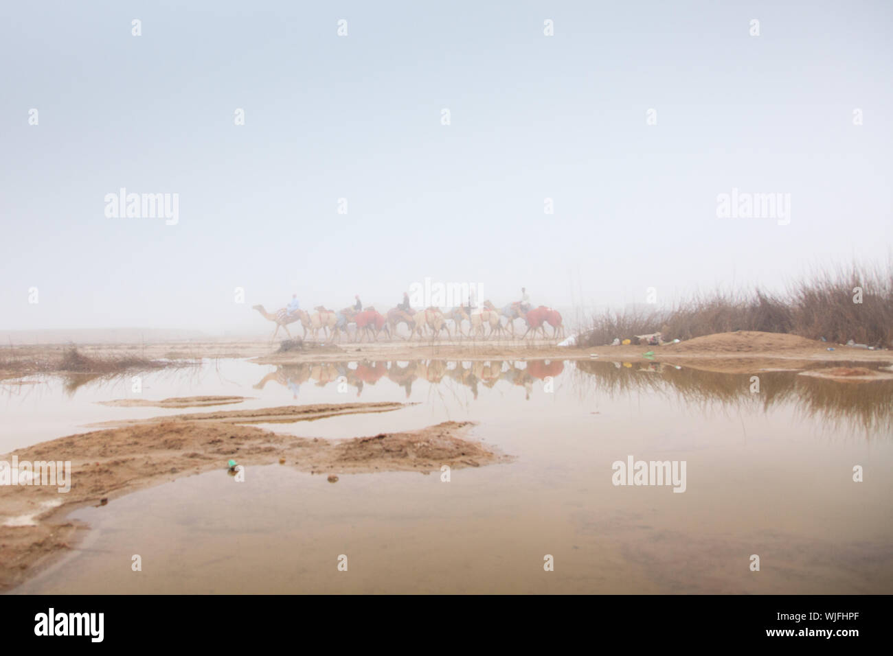 Wide angle people hi-res stock photography and images - Alamy