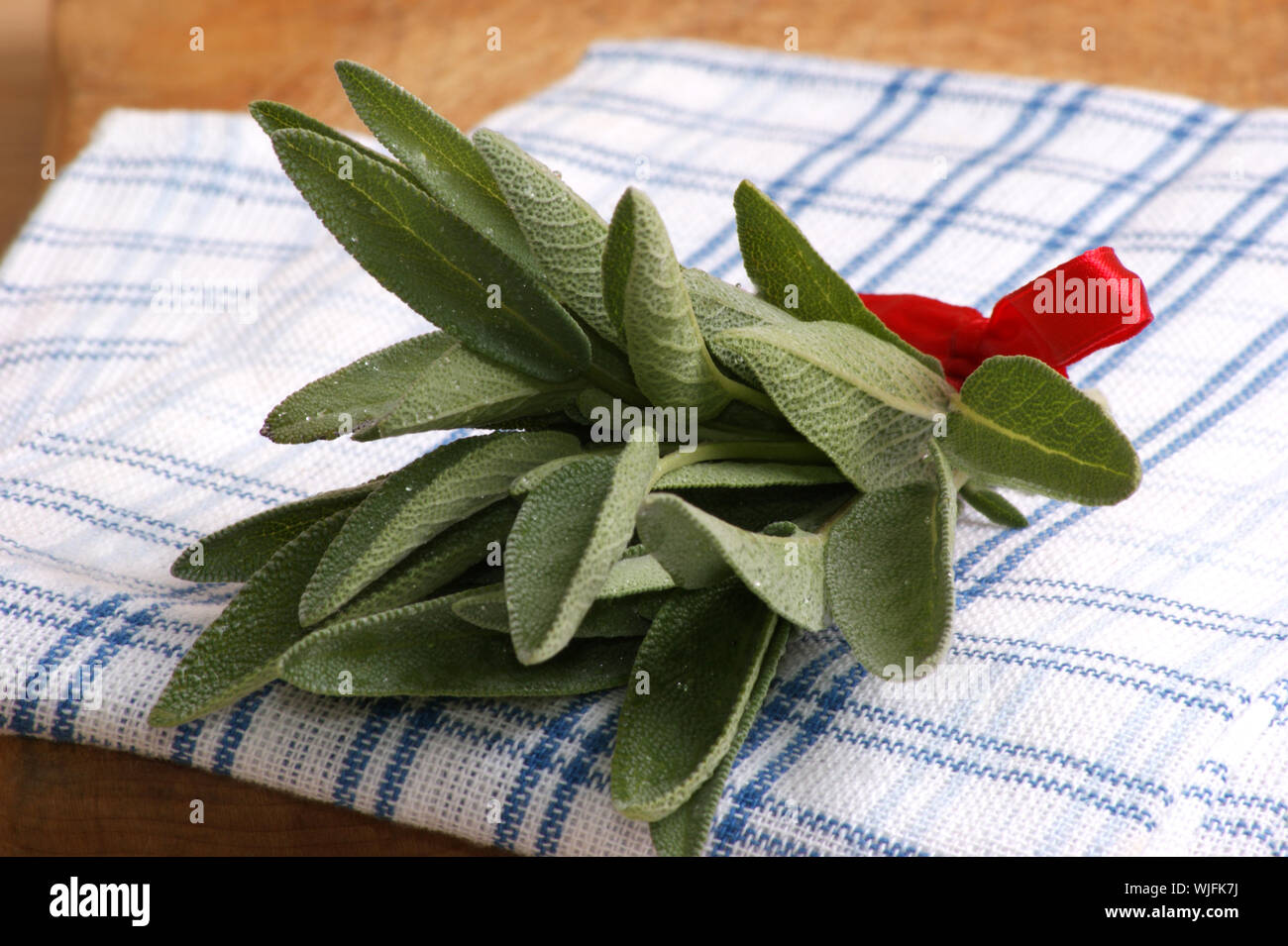 organic sage, ideal as spice for every kitchen Stock Photo - Alamy