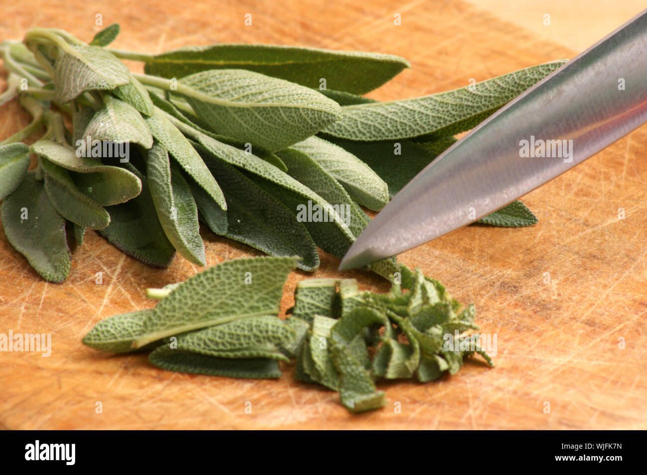 organic sage, ideal as spice for every kitchen Stock Photo - Alamy