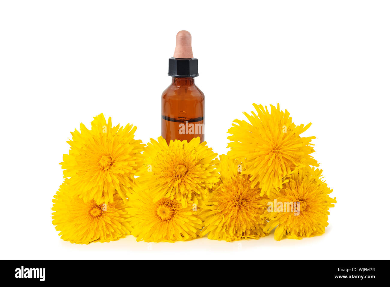 dandelion flowers and bottle with essence isolated on white background ...