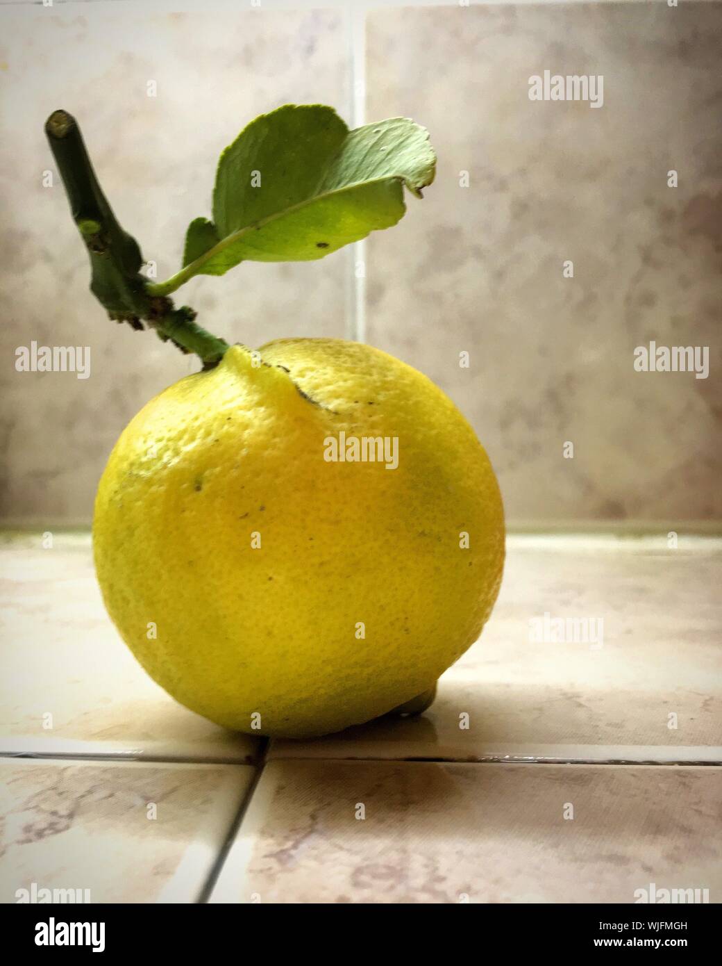 Lemon on the wall hi-res stock photography and images - Alamy