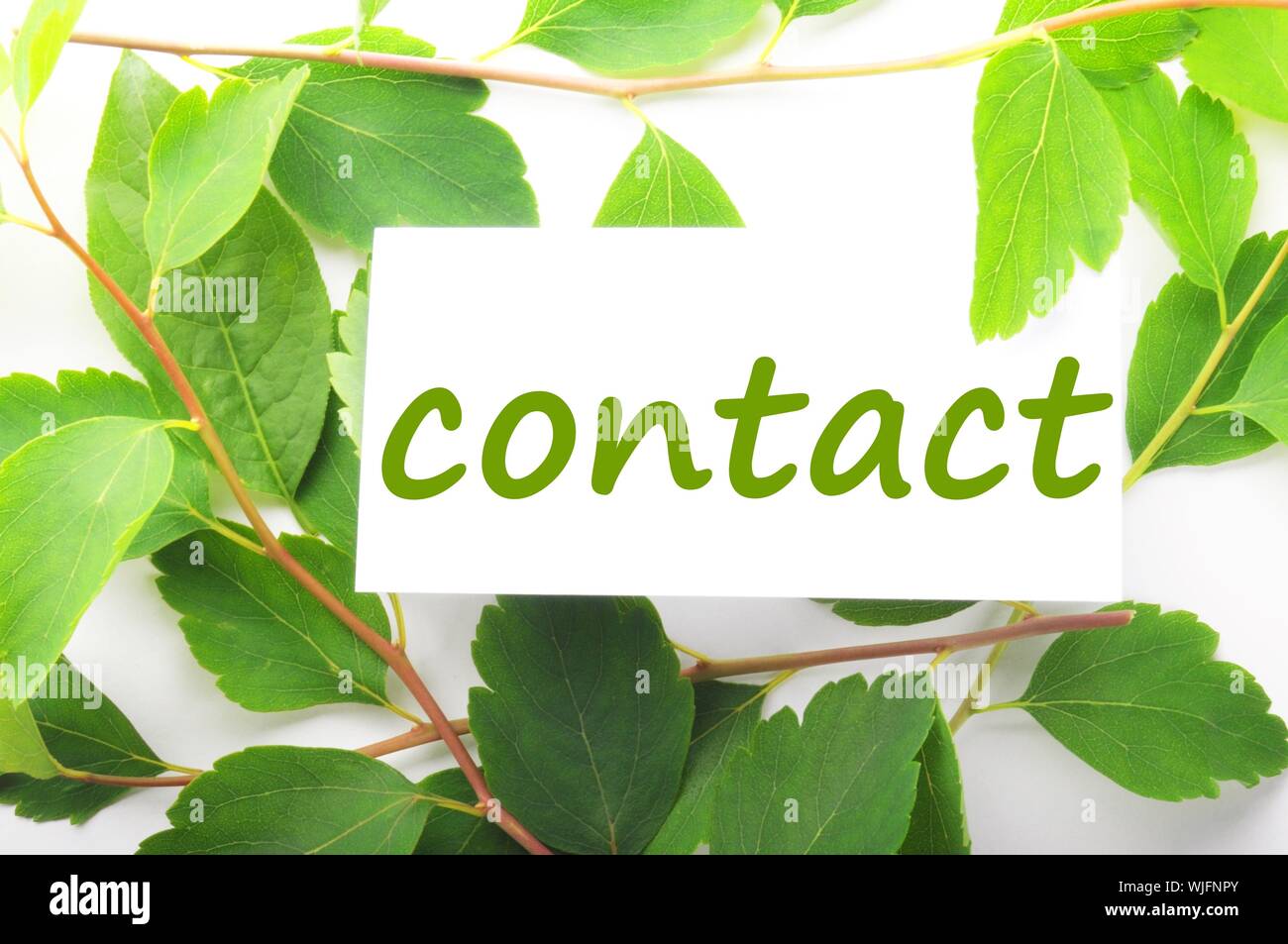 contact us concept with word on nature still life Stock Photo - Alamy