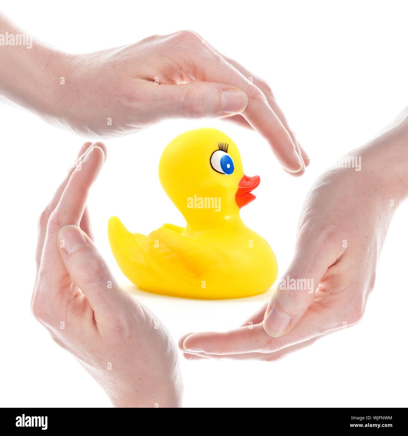 rubber duck and hands isolated in white background Stock Photo - Alamy