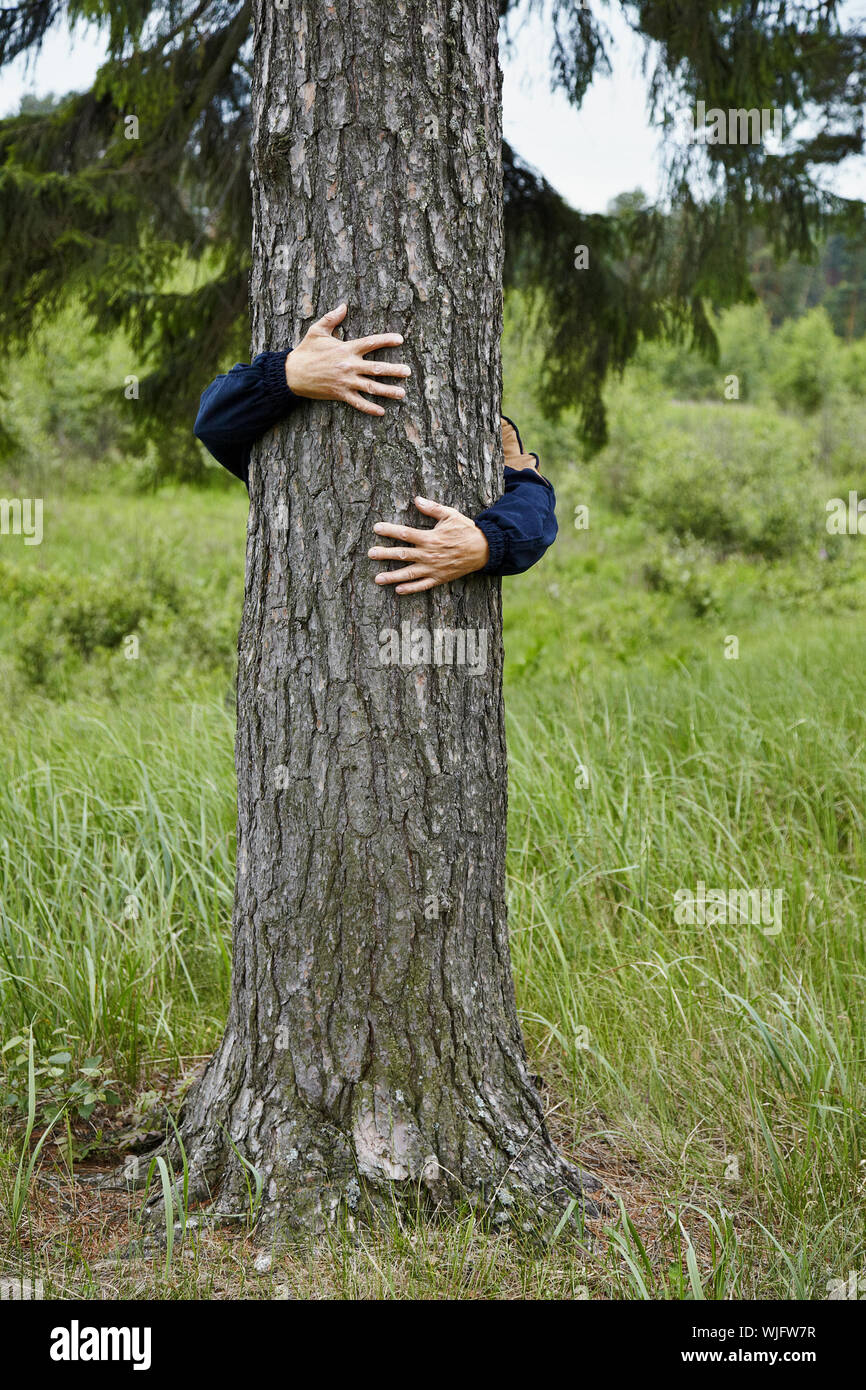 A man hugging a big tree in the forest Stock Photo - Alamy