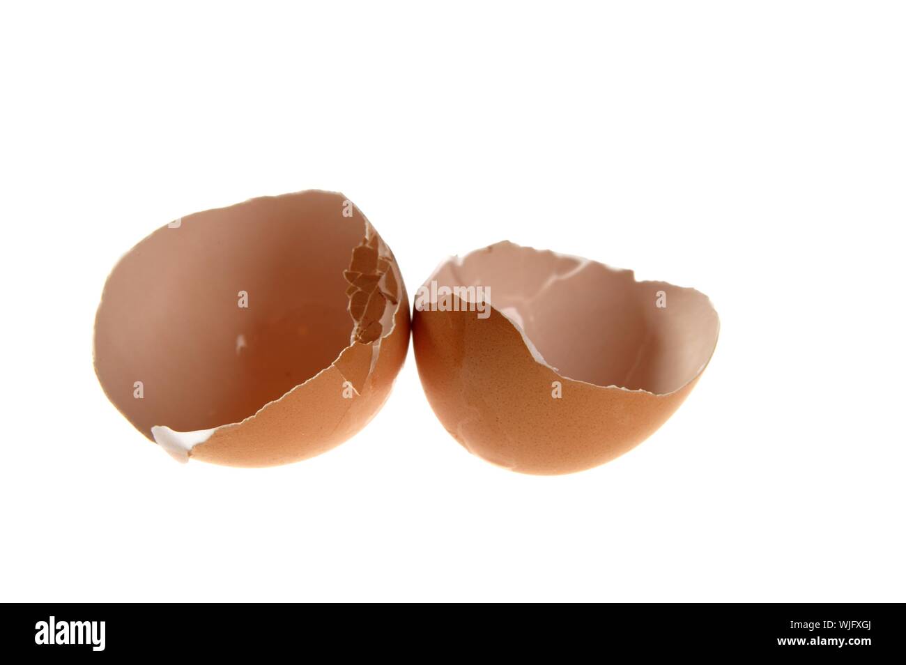 Eggshell open in two parts isolated on white Stock Photo - Alamy
